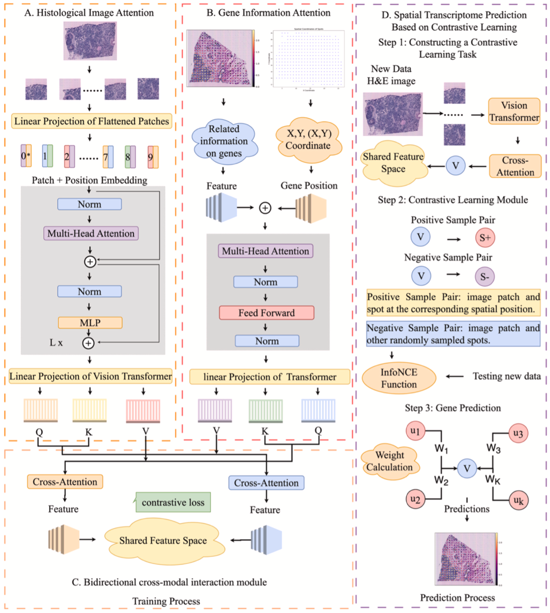 Xiangyu’s work on spatial gene expression prediction is now published ...